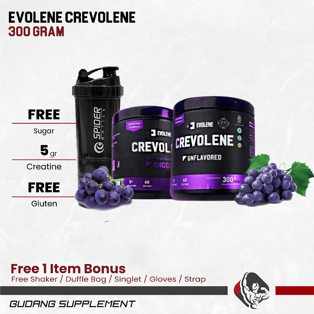 Jual Evolene Crevolene 60 Serving 330 Gram Creatine Micronized ...