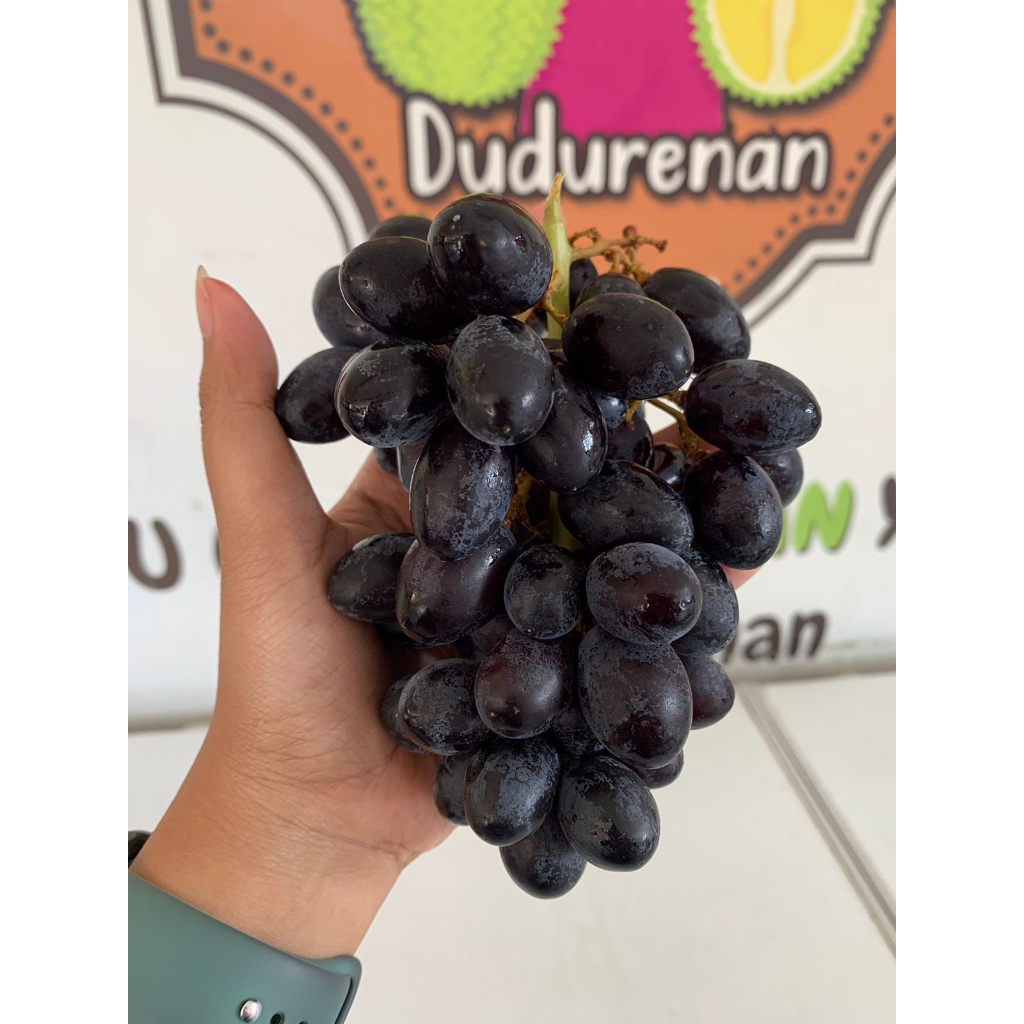 Jual [BANDUNG, 750gr] Buah Anggur Tanpa Biji (Black Diamond Seedless ...