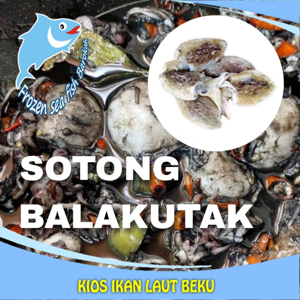 Jual Cumi sotong | balakutak | Shopee Indonesia