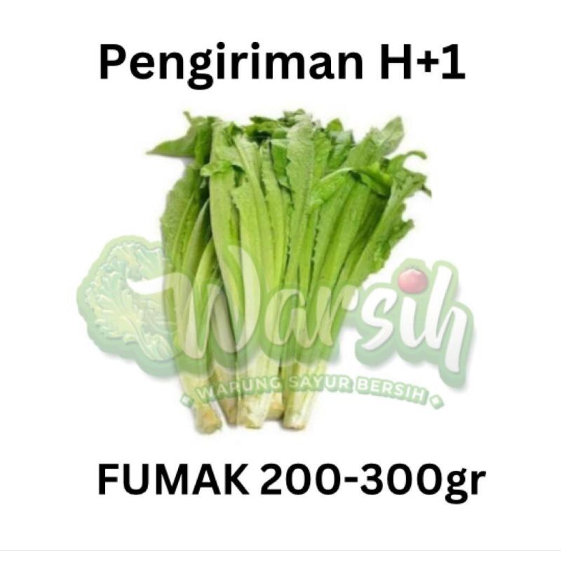 Jual WARSIH • FUMAK 200-300GR | Shopee Indonesia