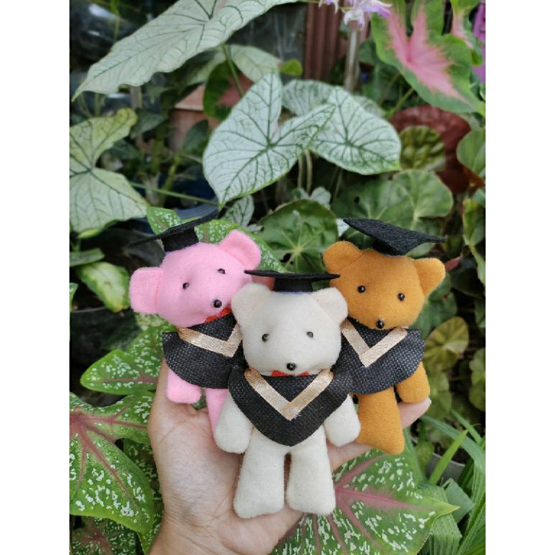 Jual Boneka Wisuda Toga 10cm Boneka Bear Sangat Kecil | Shopee Indonesia