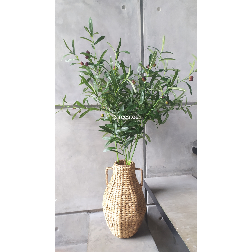Jual Olive tangkai + Pot anyam enceng gondok rangka besi/ Kerajang ...