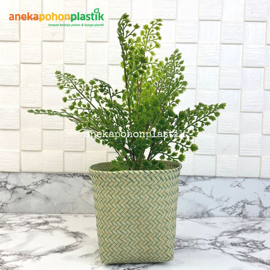 Jual Tanaman Hias Daun Tapak Ikan Pari X1 Latex Artificial Pot Dasar ...
