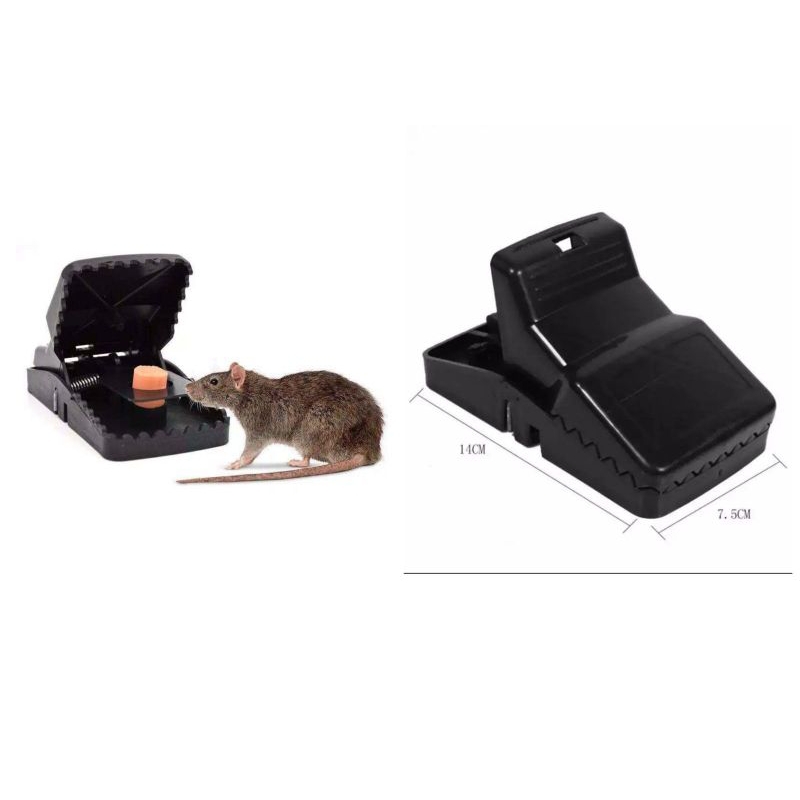 Jual PERANGKAP JEBAKAN TIKUS | Shopee Indonesia