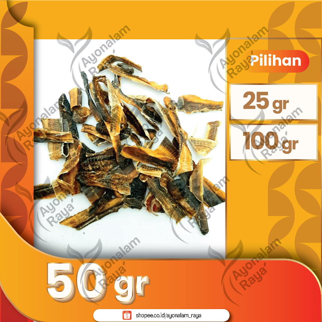 Jual Cacing Tanah Lumbricus Kering - Obat Herbal Tipes / Tifus dan ...