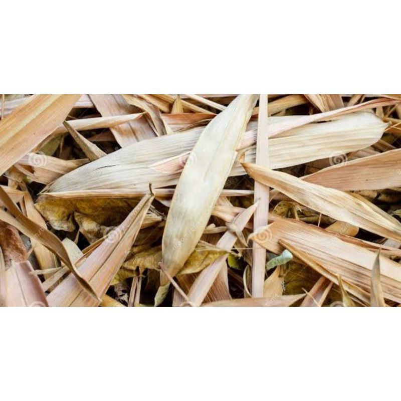 Jual daun bambu kering 500 gr | Shopee Indonesia