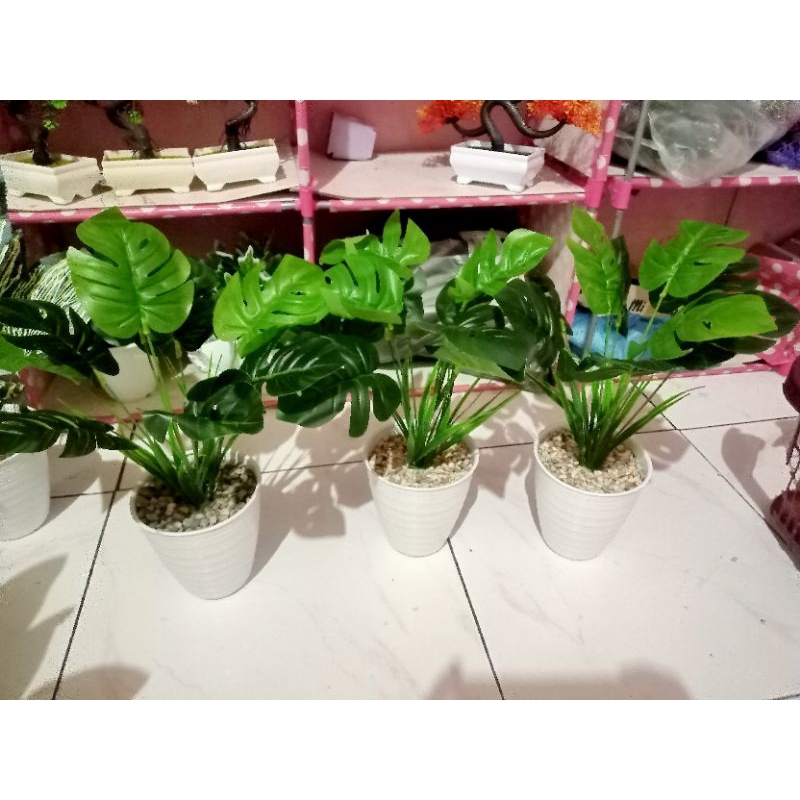 Jual bunga monstera palsu | Shopee Indonesia