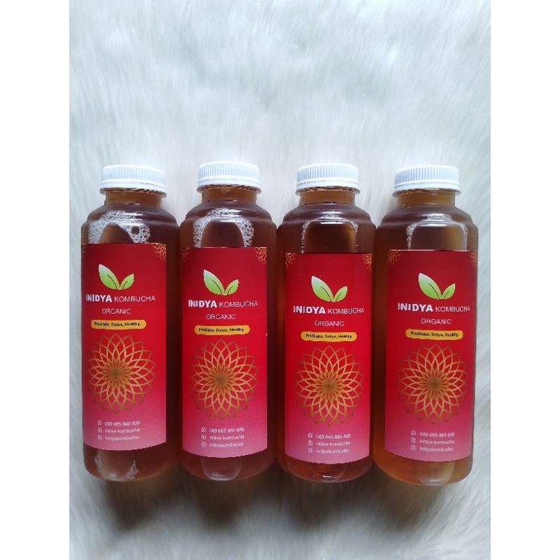 Jual 4 BOTOL TEH KOMBUCHA ORIGINAL 250ML | Shopee Indonesia