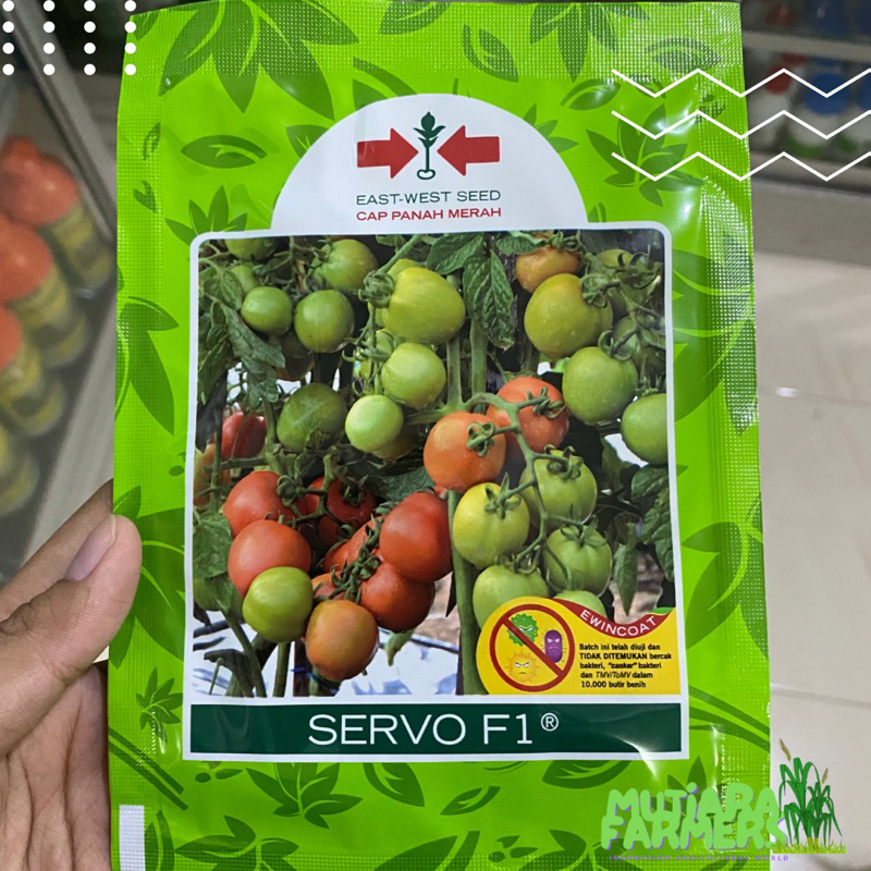 Jual BENIH TOMAT SERVO F1 | PANAH MERAH | 1.750 butir | NEW (tanggal ...