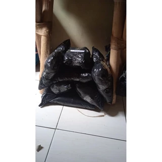 Produk beranda zee | Shopee Indonesia