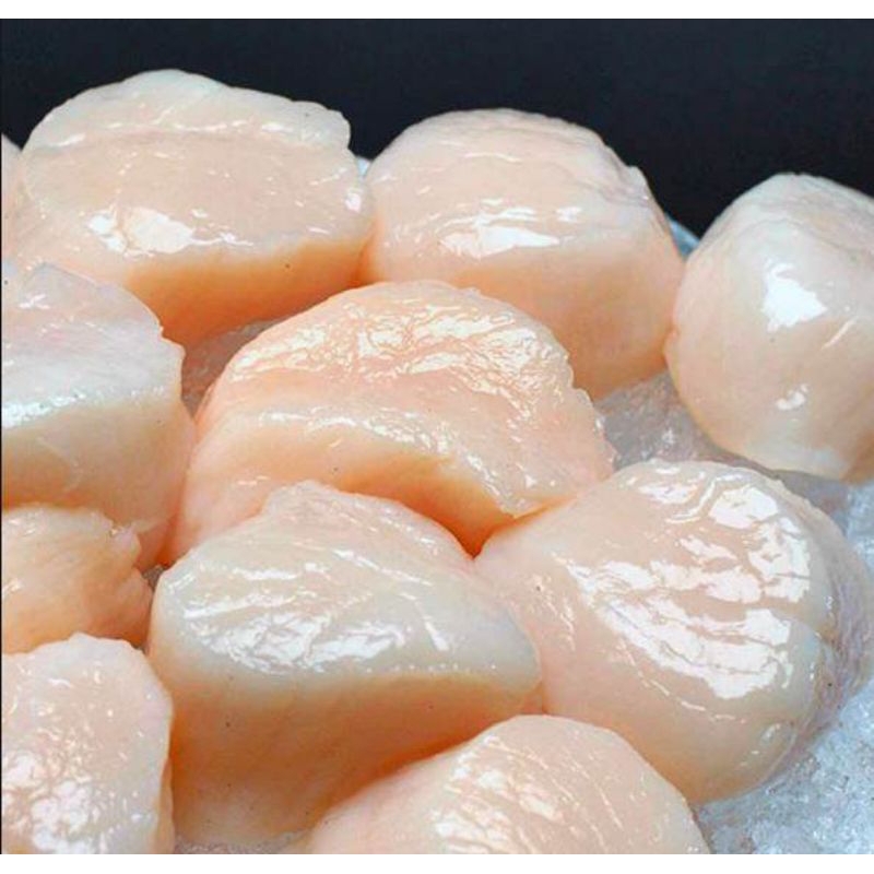 Jual Scallops Segar 1kg Daging kerang kampak Scallops Daging kerang ...