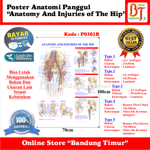 Jual POSTER ANATOMI PANGGUL - ANATOMY AND INJURIES OF THE HIP | Shopee ...