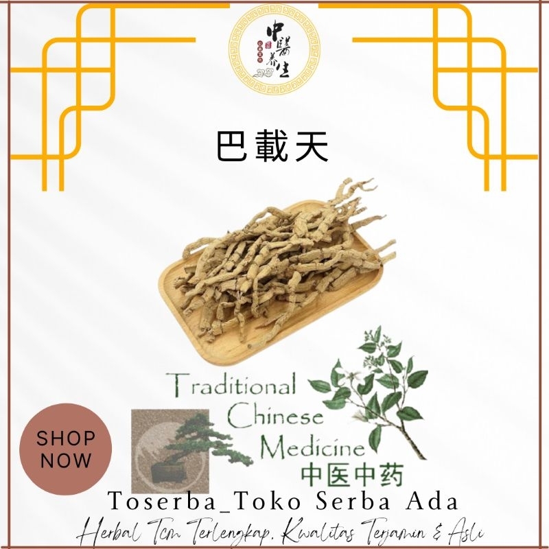 Jual 100gr Herbal Ba Ji Tian Super / Medicinal Morinda Root / Morinda ...
