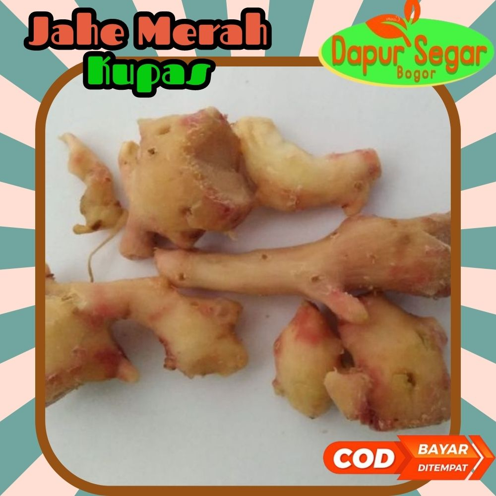 Jual jahe merah kupas 1kg /jahe merah kupas / jahe merah kupas1kg ...