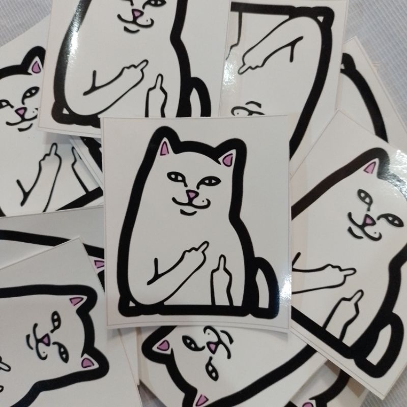 Jual sticker kucing fack | Shopee Indonesia