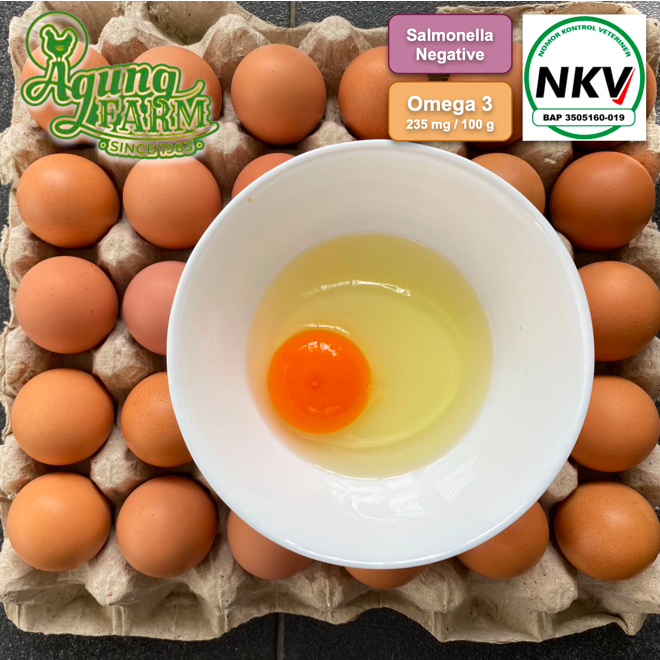 Jual Telur Omega 3 Nabati per 1 papan 30 butir Segar dari Kandang NKV ...