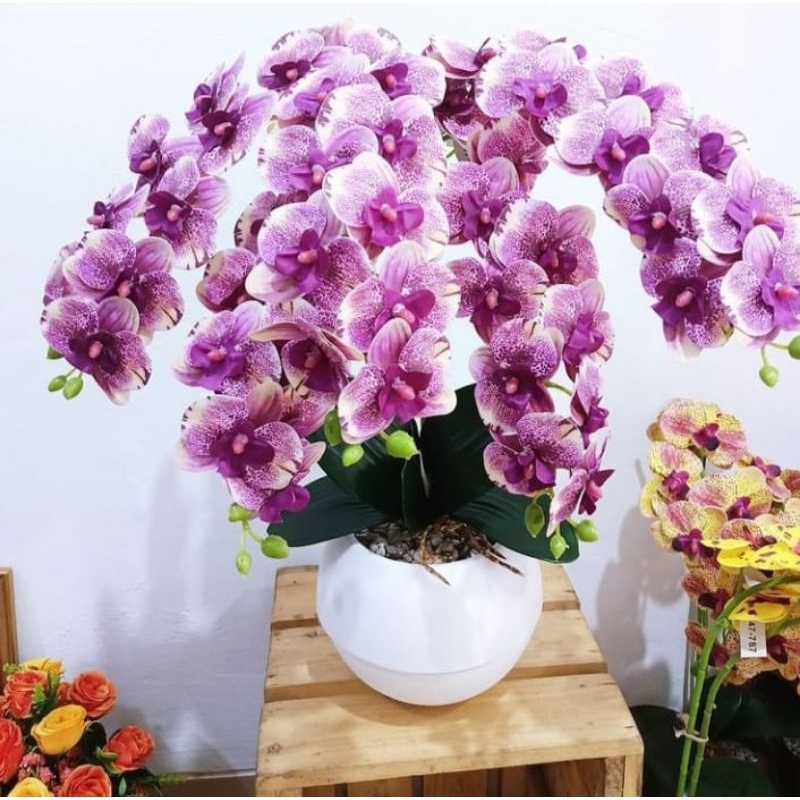 Jual Bunga anggrek cabang 5 super rimbun dengan vas bola | Shopee Indonesia