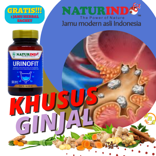 Jual Herbal Obat Batu Ginjal Sakit Pinggang Batu Ginjal Urinofit ...