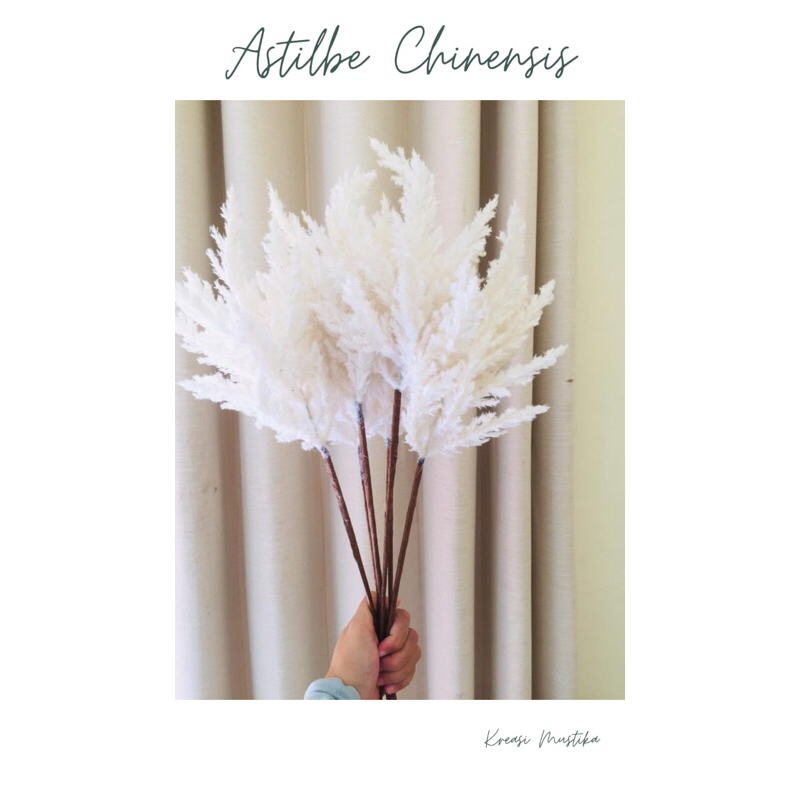 Jual Bunga Astilbe Chinensis Artificial tangkai panjang warna putih ...