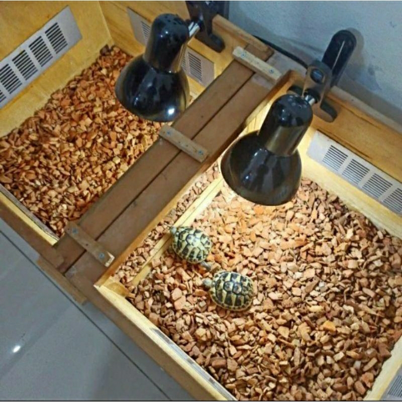 Jual MEDIA TANAM & ALAS REPTIL COCO CHIP COCO HUSK KERING - CACAH KULIT ...