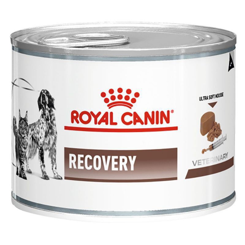 Jual Royal canin Recovery wet food 195 gram kaleng | Shopee Indonesia