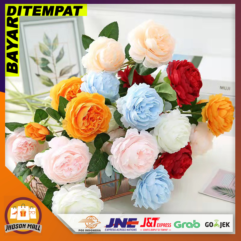 Jual JM Tanaman Hias Bunga Tangkai Import Tanaman Bunga Pajangan ...