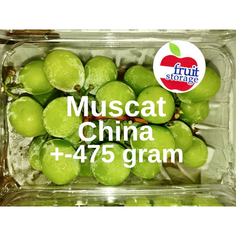 Jual Anggur Hijau tanpa biji Seedless Import buah Shine Muscat impor ...