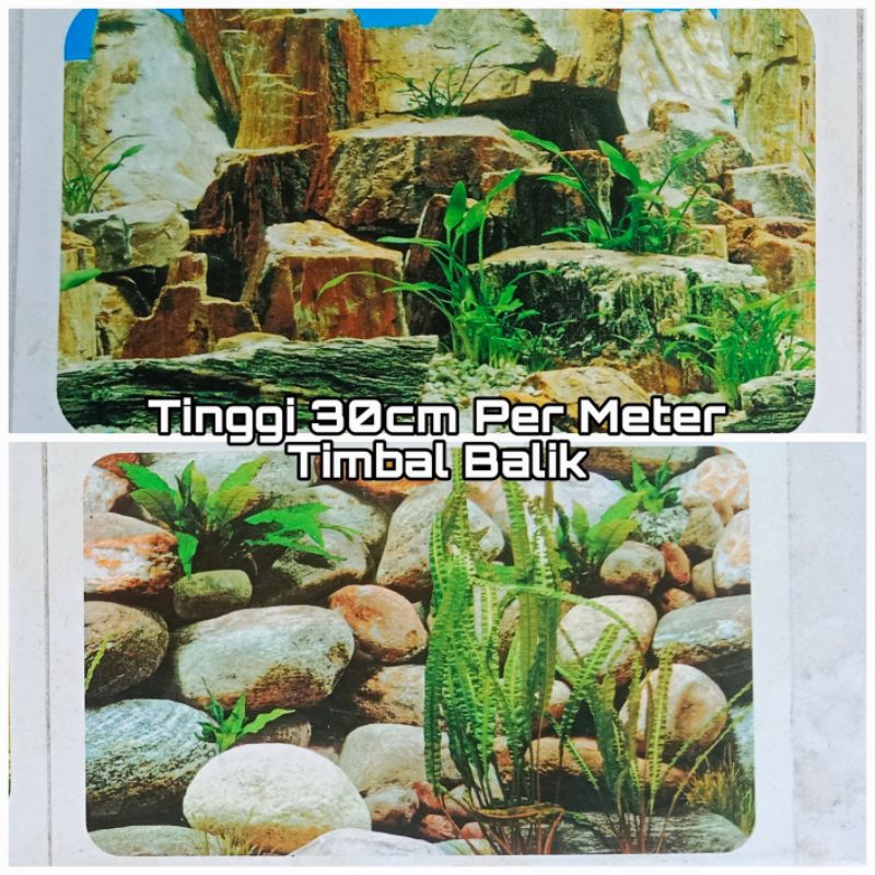 Jual Wallpaper / Latar / Background Aquarium tinggi 30cm, 40cm, 50cm ...