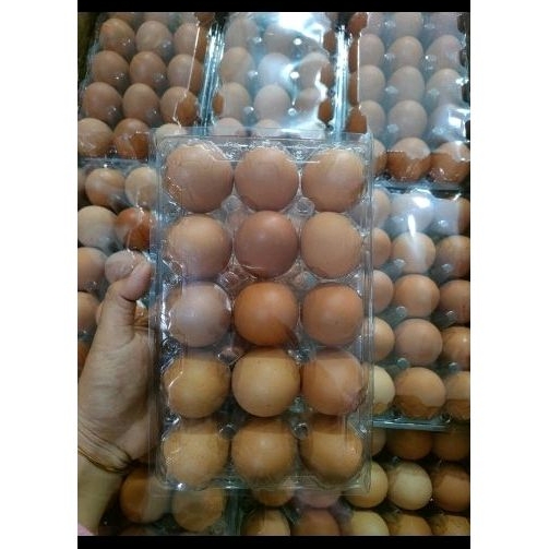 Jual Telur Ayam Negeri Fresh 1kg isi 15pcs | Shopee Indonesia