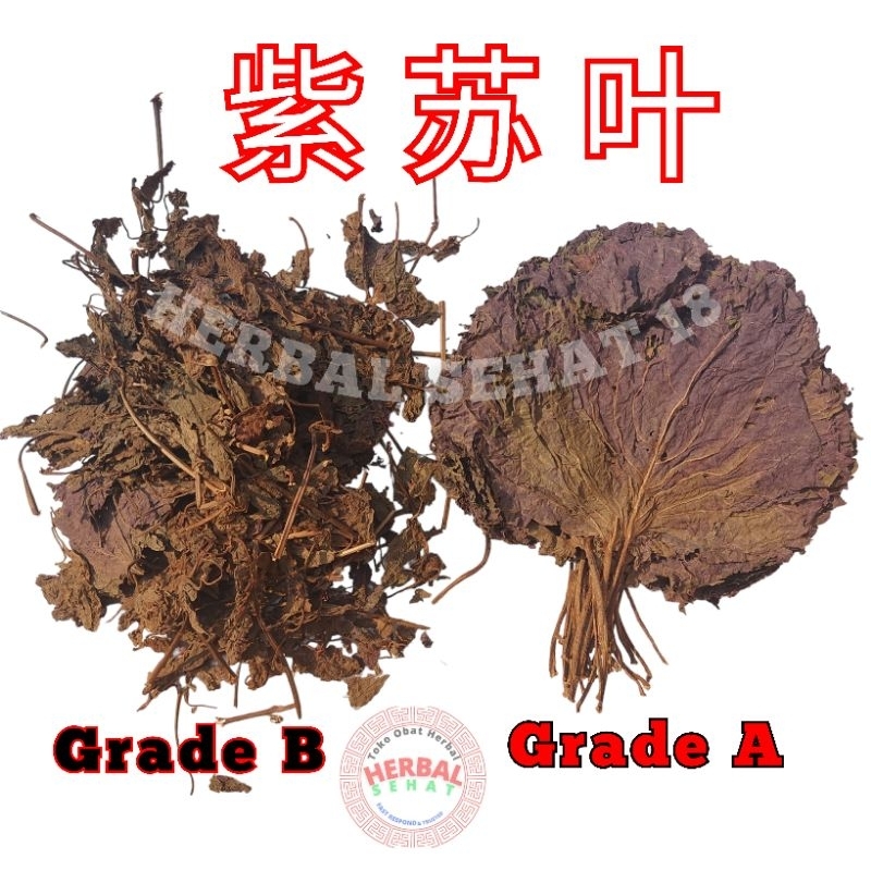 Jual Zi Su Ye 600 gram - Perillae Folium Perilla Leaf - Ci Shu Yap ...