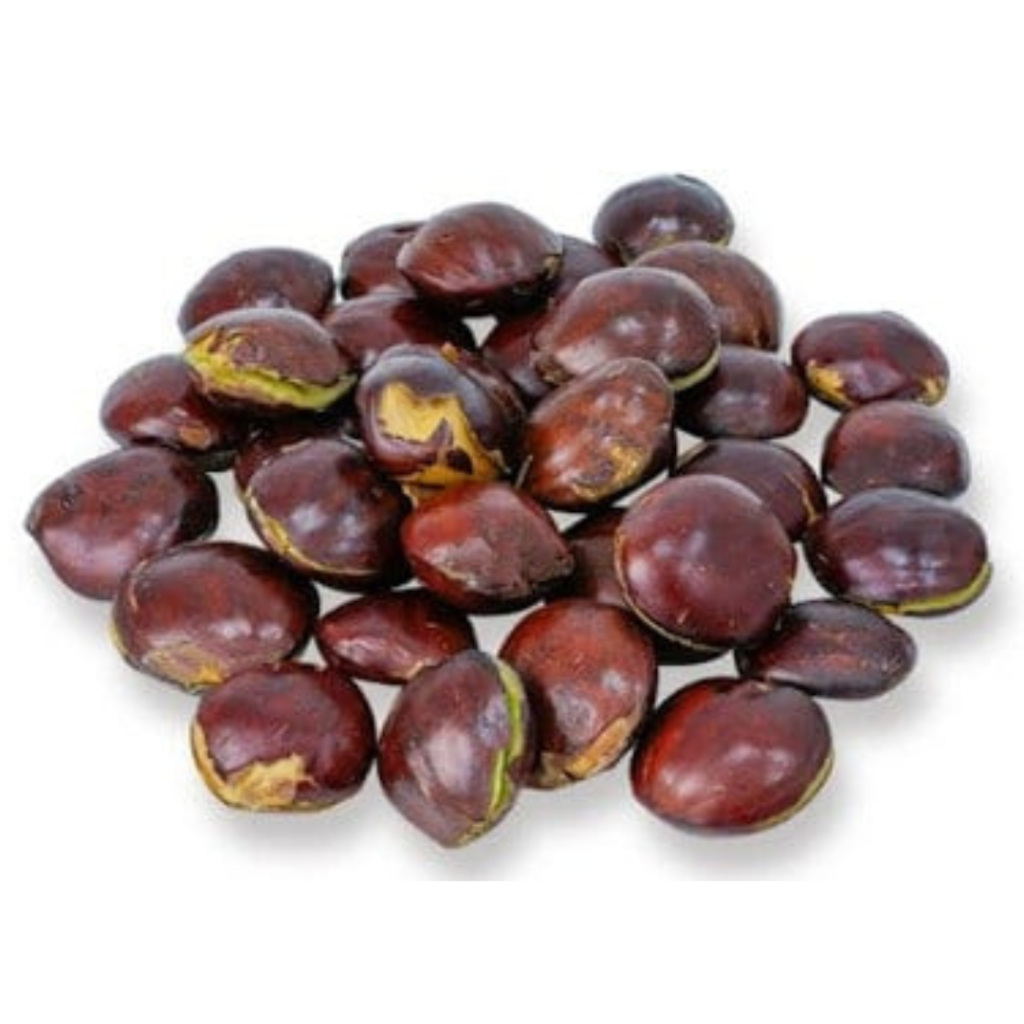 Jual jengkol pilihan 1kg | Shopee Indonesia