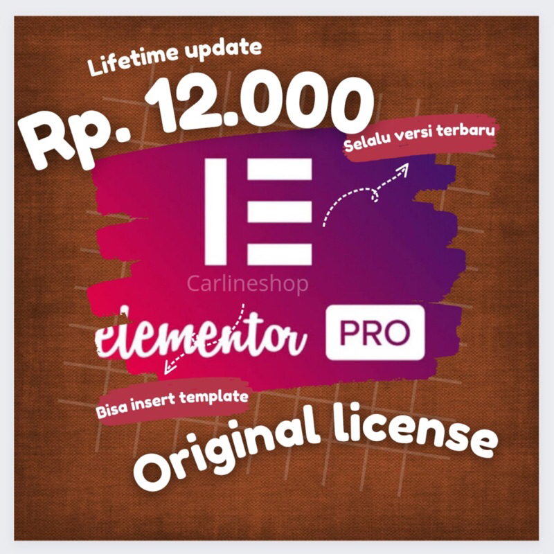 Jual ELEMENTOR PRO ORI+ FULL PACKAGE + FULL PERSONAL SUPPORT | Shopee ...