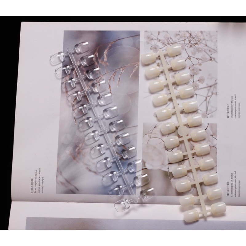 Jual [NS016] 24pcs nail display color tip/penanda warna botol nail/nail ...