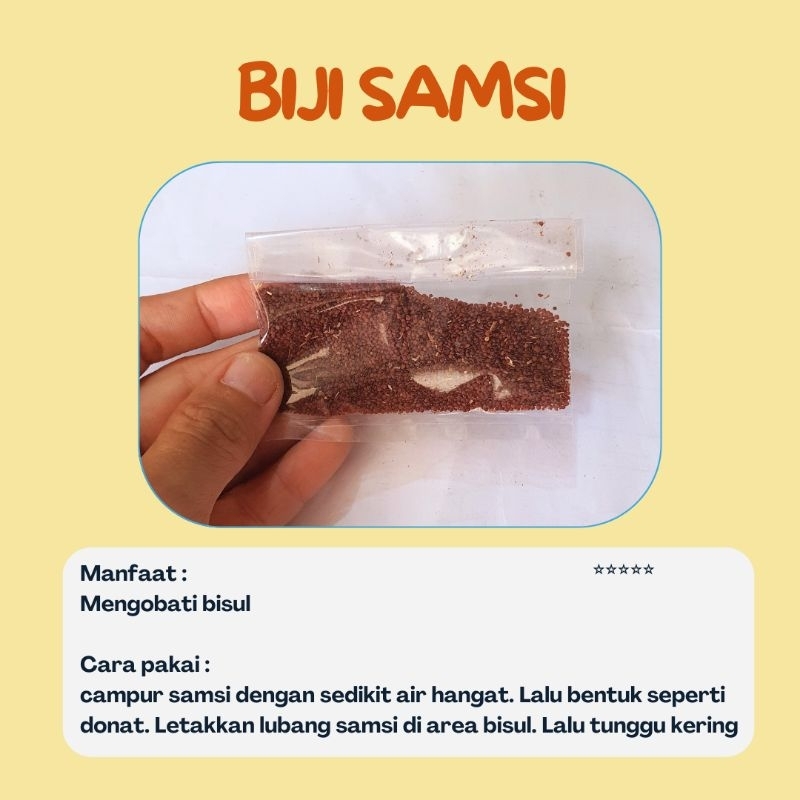Jual Biji Samsi untuk sakit bisul | Shopee Indonesia