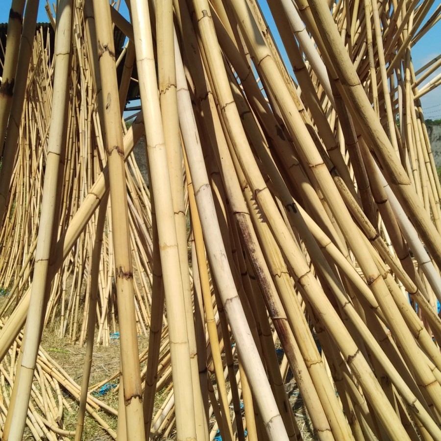 Jual TOYA ROTAN KULIT -TOYA DIAMETER 4 CM PANJANG 1 METER -TOYA KULIT ...