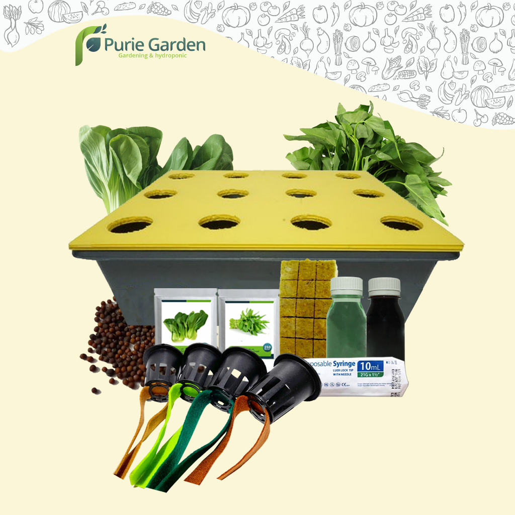Jual Paket Hidroponik Lengkap Pemula Berkebun Wick System Purie Garden | Shopee Indonesia