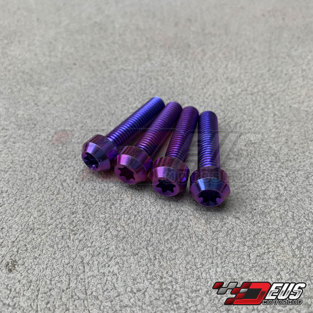 Jual Baut Titanium Set Segitiga Bawah Ninja RR / Triple Clamp KRR ...