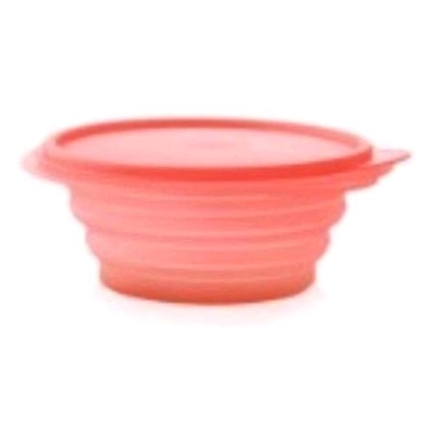 Jual Tupperware Go Flex tempat makan lipat ready warna guava ya Kak ...