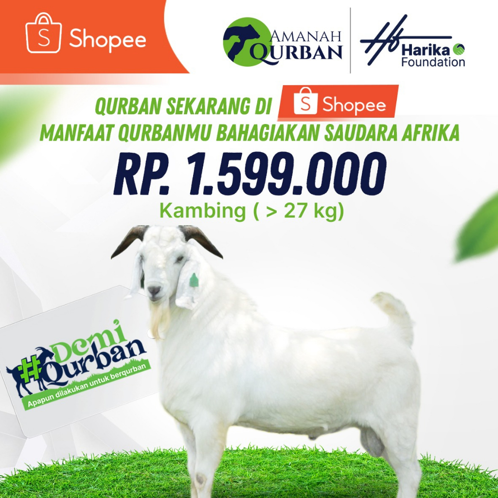 Jual Kurban Kambing Afrika - Amanah Qurban | Shopee Indonesia