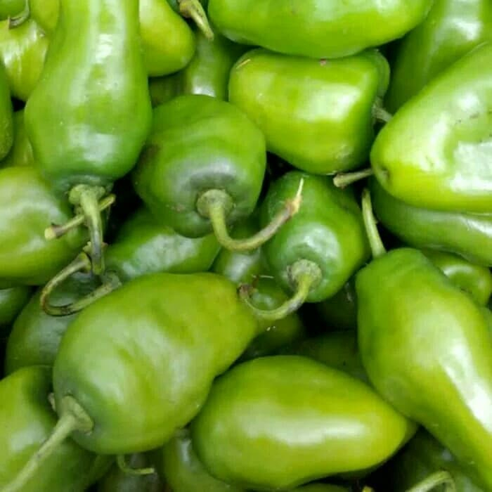 Jual 1 KG Cabe Gendot Cabai Bendot Segar khas Jawa barat | Shopee Indonesia