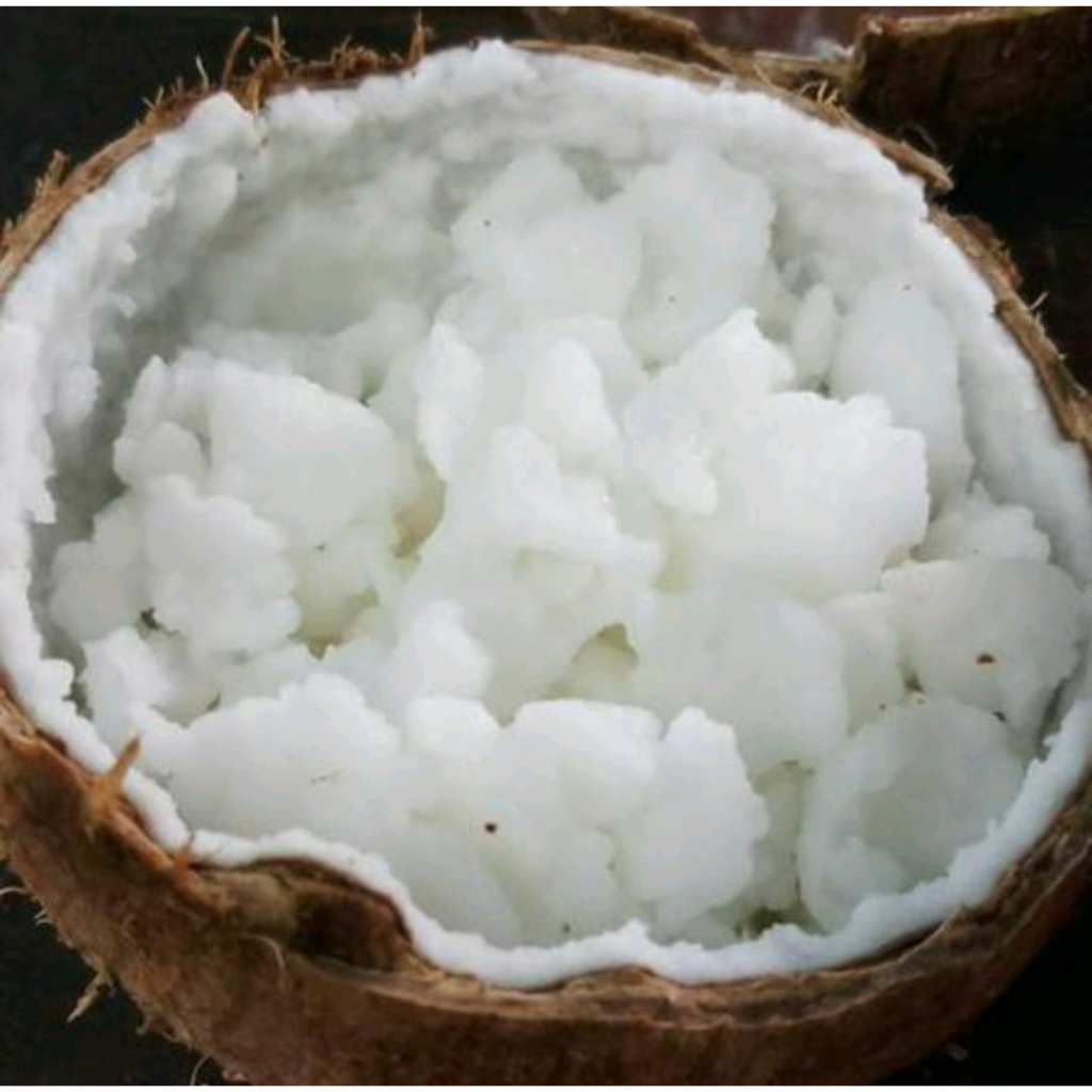 Jual Kelapa Kopyor murah size 41-42 CM | Shopee Indonesia