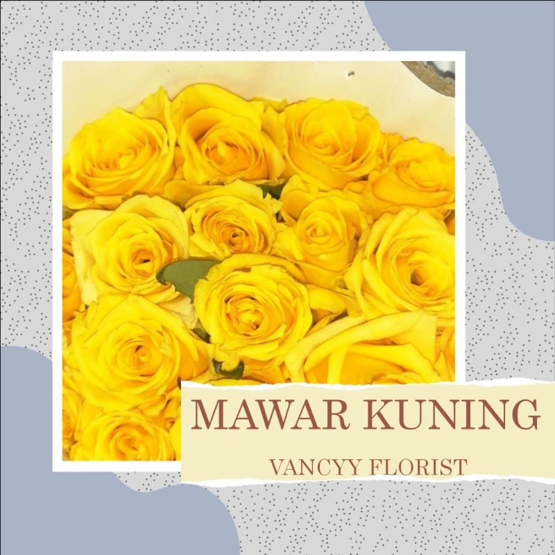 Jual Bunga Mawar Kuning Fresh Pertangkai / Bunga Mawar Kuning Vancyy ...