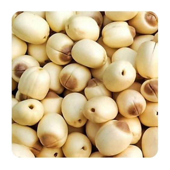 Jual Lian zi / Biji bunga teratai / Lotus seed / Lian zi HK / Lian zi ...