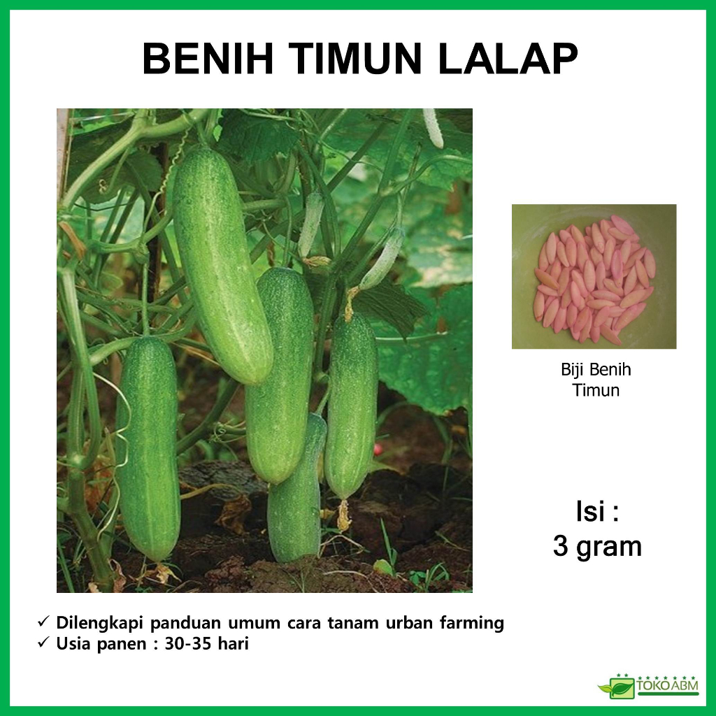 Jual Benih Sayuran Timun Lalap Kemasan Repack - Benih Baby Mentimun ...