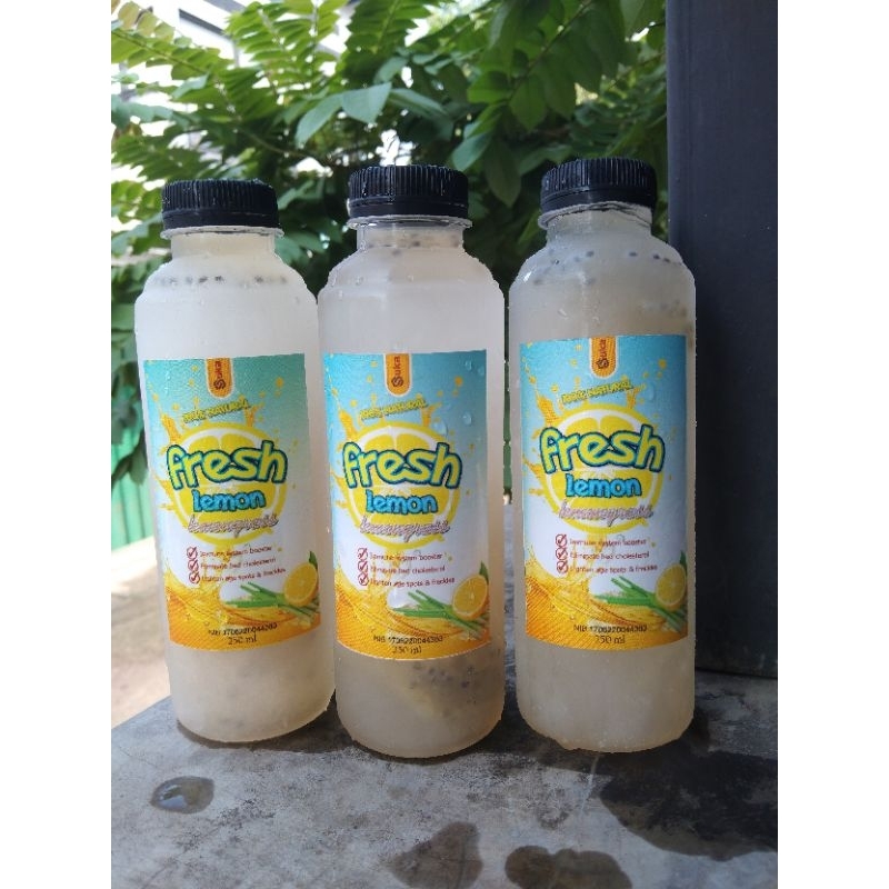 Jual fresh lemon | Shopee Indonesia
