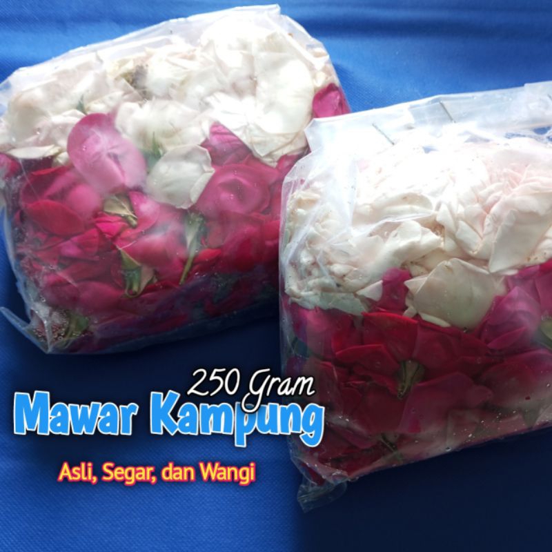 Jual bunga mawar kampung tabur segar asli | Shopee Indonesia