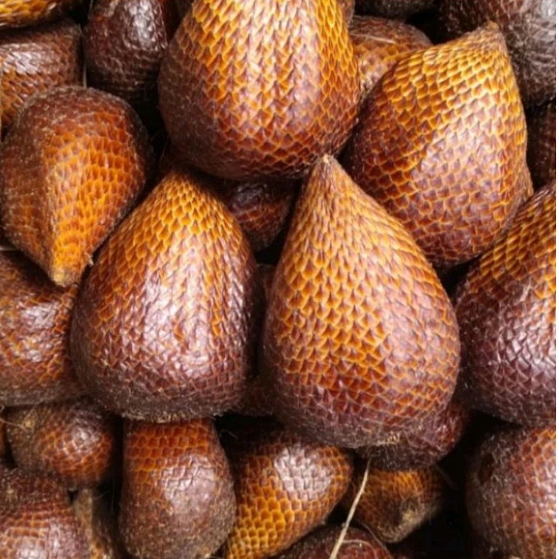 Jual BUAH SALAK PONDOH FRESH (1kg) | Shopee Indonesia