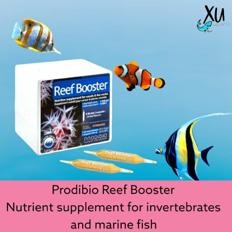 Jual PRODIBIO REEF BOSTER 1 VIAL / PRODIBIO REEFBOSTER | Shopee Indonesia