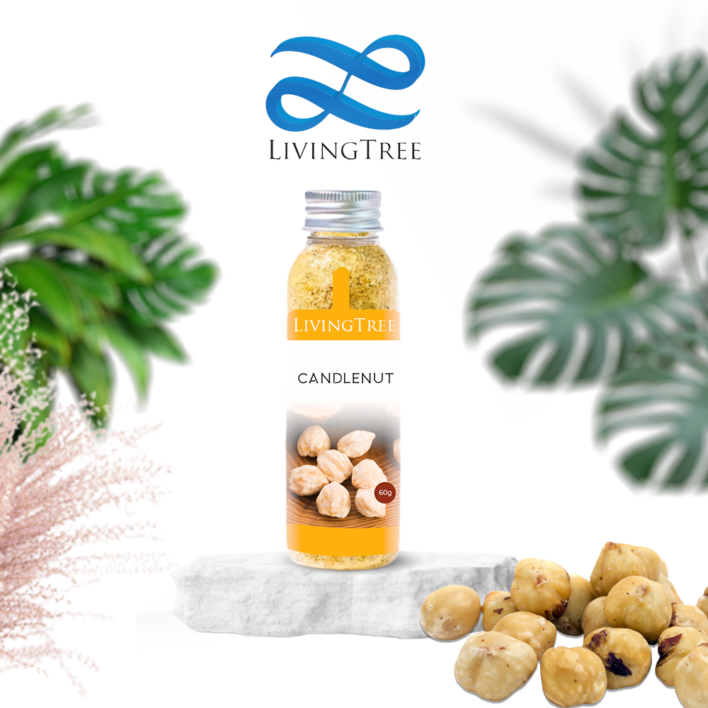 Jual Kemiri bubuk 60gr Candlenut Powder 100% Rempah Alami LivingTree ...