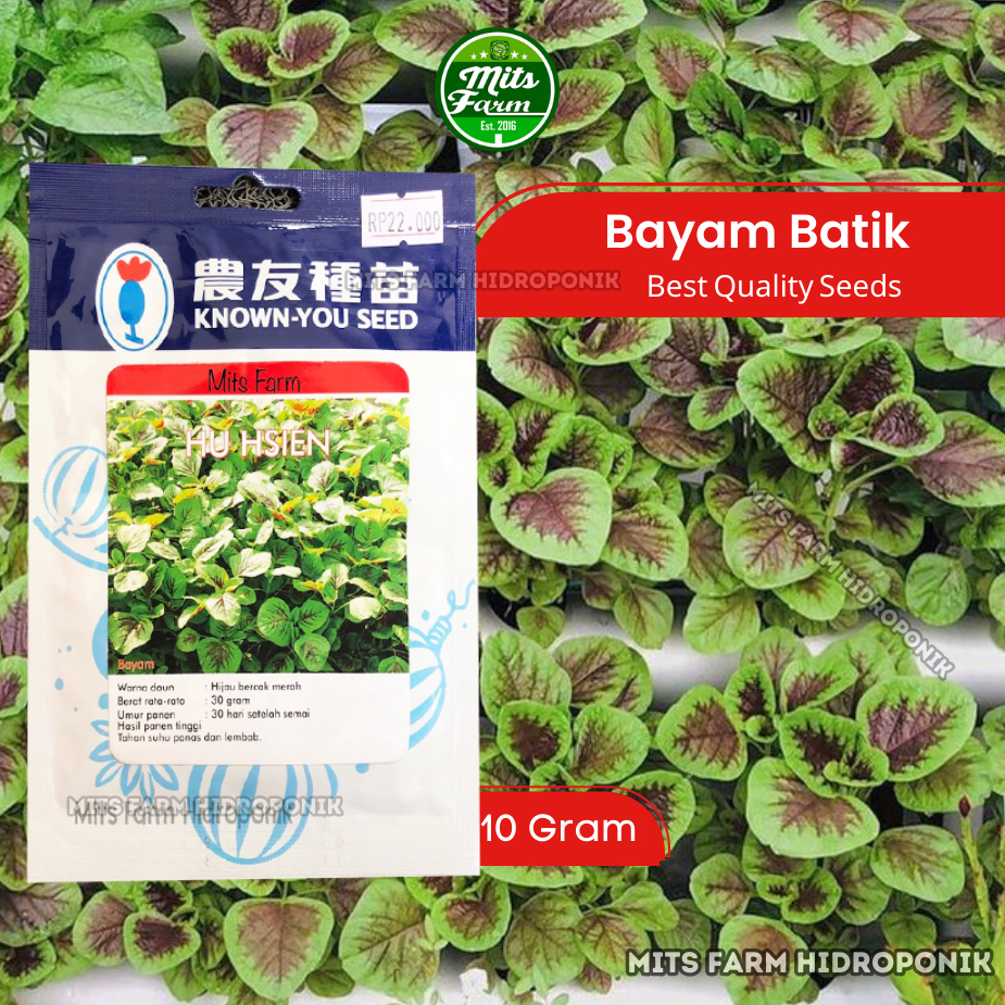 Jual Benih Bayam Batik Hu Hsien - Known You Seed | Shopee Indonesia